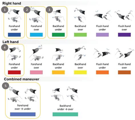 Figure 2 From Deep Learning Based Computer Vision To Recognize And Classify Suturing Gestures In