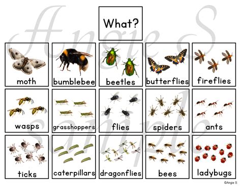 Bugs And Insects Activity Sentence Building Speech Therapy Autism Special Ed Made By Teachers