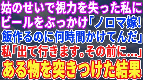 スカッとする話義母のせいで両目が弱視になった私にビールをぶっかける義母ご飯作るのに何時間かけてるのウスノロ嫁私出て行きますその前にあるものを見せた瞬間義母はガクガク震え