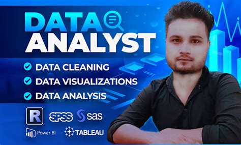 data analyst do analysis in excel and visualization by abedali44 fiverr