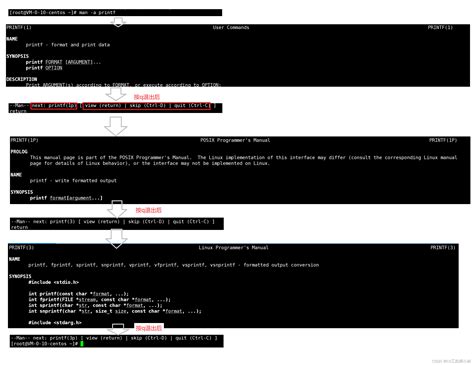 【linux入门】用户的基本指令linux注释中echo Scale Csdn博客