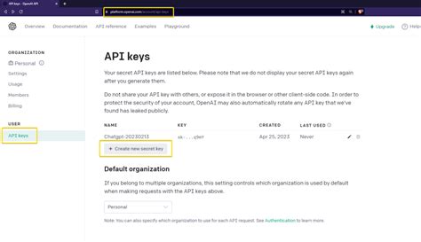 OpenAI API Key