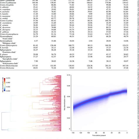 Clade Age Estimates From The Node Dating Nd And Fbd Analyses
