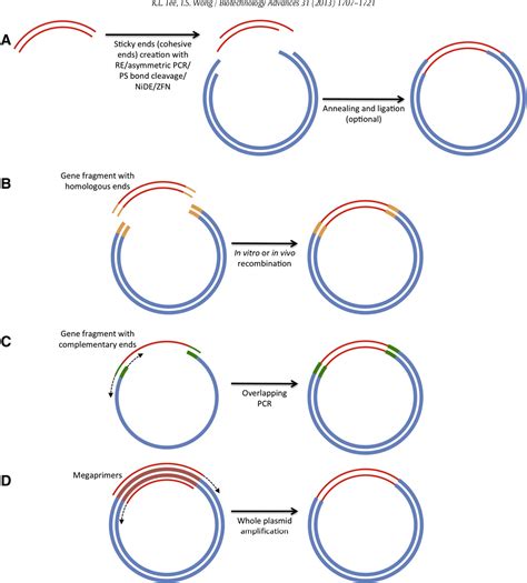 Figure 1 From Polishing The Craft Of Genetic Diversity Creation In Directed Evolution