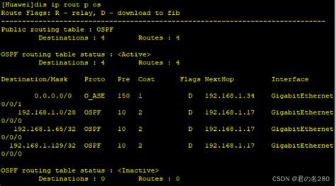 ospf实验 ospf实验拓扑 csdn博客