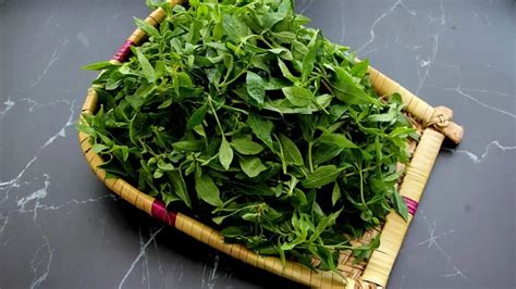 Dwarf Copperleaf Nutrition Facts Cullys Kitchen