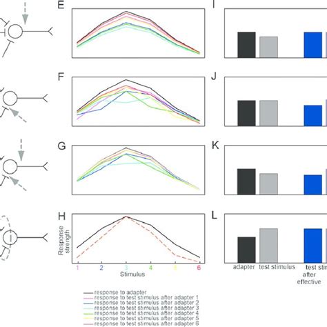 Example Local Field Potential Lfp And Spike Records Vs Contrast Lfp