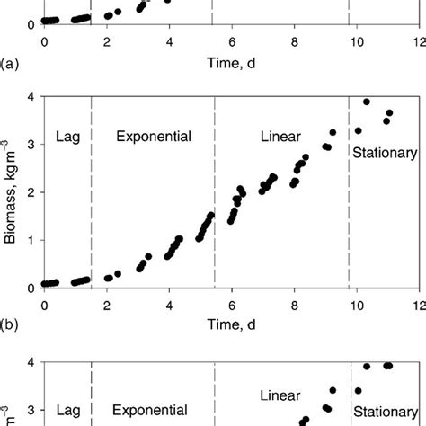 Biomass Concentration Vs Time In Fed Batch Culture A Splitcylinder