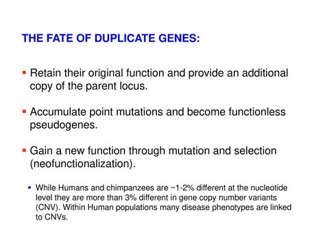 What Factors Contribute To Phenotypic Variation Ppt Download
