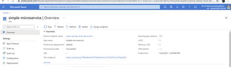 Azure Spring Cloud Review Applied Information Sciences
