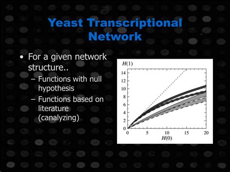 Ppt Modeling Genetic Network Boolean Network Powerpoint Presentation Id 3358575