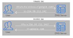 How To Configure Reverse DNS Knowledge Base ScalaHosting