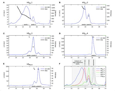 Size Exclusion Chromatography Secmulti Angle Light Scattering