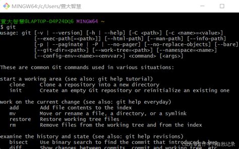 萱仔环境记录——git的安装流程 gitbash2 45 1下载 csdn博客