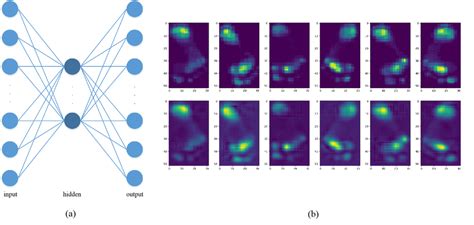 a autoencoder architecture the input and outputs dimension is