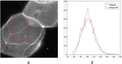 Fitting Of The Poisson Function To The Observed Histogram Of The Input