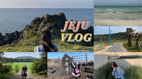 Vlog 제주 브이로그ㅣ한라산등산ㅣ등산겸제주여행ㅣ계획따위1도없는ㅣ한라산백록담 오른안도르고집돌우럭고등어회송당무끈모루숙성도 노형본점함덕해수욕장서우봉