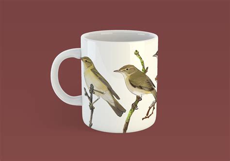 Willow Garden Cetti And Chiff Chaff Warbler Art — The Art Of Crowartist