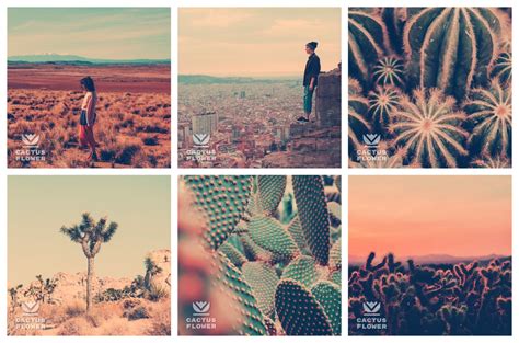 How To Batch Watermark Photos Learn Befunky