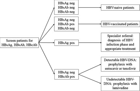 Algorithm For Hbv Prophylaxis According To Previous Viral Exposure
