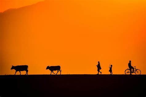 Smule Konto Wiederherstellen Kurzanleitung