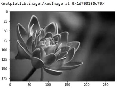 Getting Started With Image Processing Using OpenCV Data Intelligence