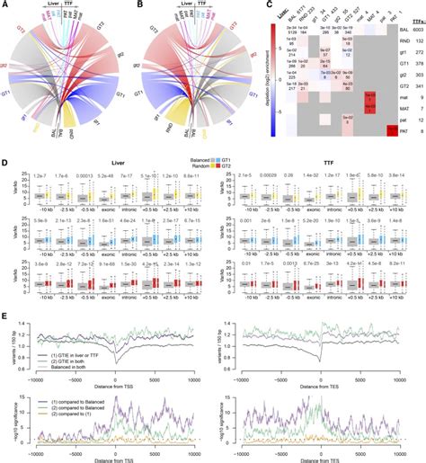 Allelic Imbalance Is A Prevalent And Tissue Specific Feature Of The Mouse Transcriptome