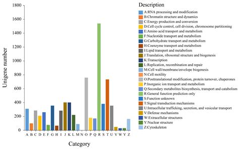 de novo transcriptome assembly and est ssr marker development and