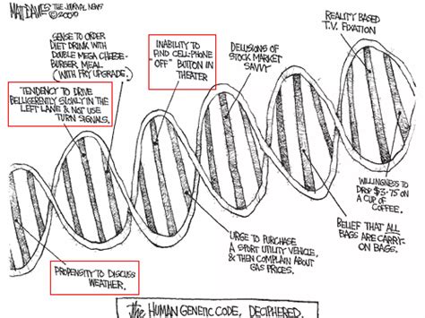 Chapter 19 Heredity Lesson 2 Present Day Understanding On Heredity