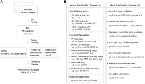 A Catalog Of GWAS Fine Mapping Efforts In Autoimmune Disease PMC
