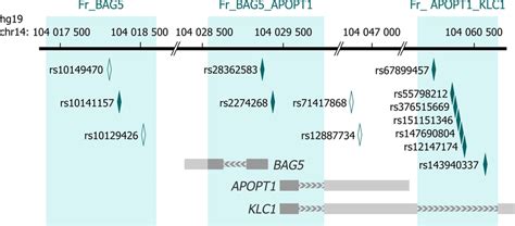 Schematic Representation Of The Genome Region The Scheme Depicts Three