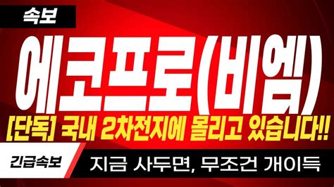 에코프로 에코프로비엠 단독 국내2차전지에 몰리고 있습니다 자금 사두시면 무조건 개이득 에코프로 에코프로비엠 Youtube