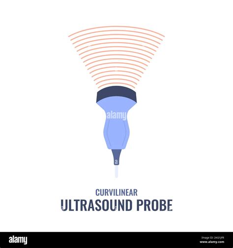 Curvilinear Ultrasound Probe Transducer Sonography Diagram Illustration