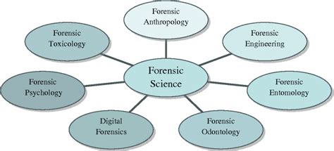 Unveiling Forensic Insights Through Video Motion Analysis Techniques