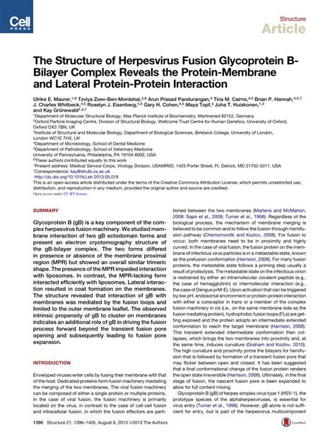 Pdf The Structure Of Herpesvirus Fusion Glycoprotein B Bilayer Complex Reveals The Protein