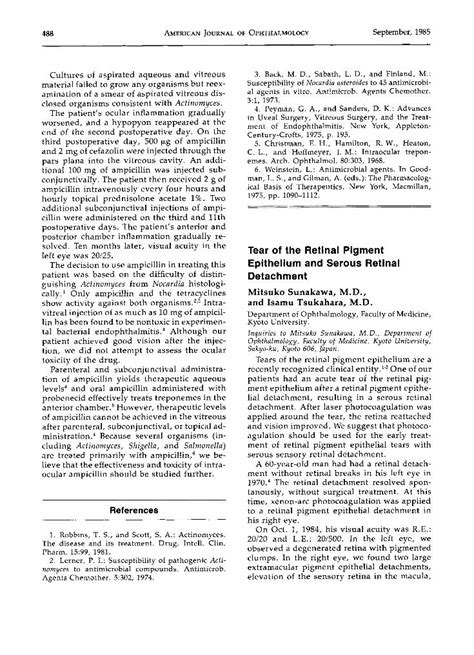 PDF Tear Of The Retinal Pigment Epithelium And Serous Retinal Detachment DOKUMEN TIPS