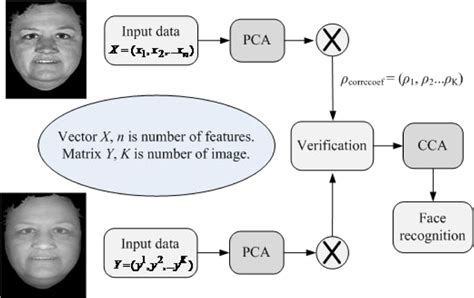 The Principles Of The Cca Pca Algorithm Based On 2d 3d Image Fusion