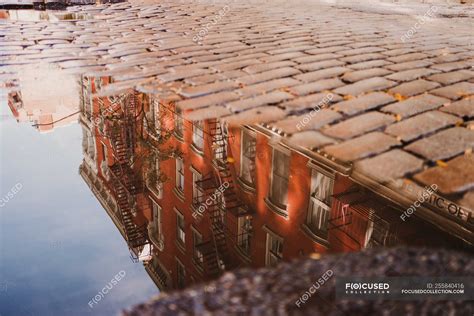Reflection Photography Puddle