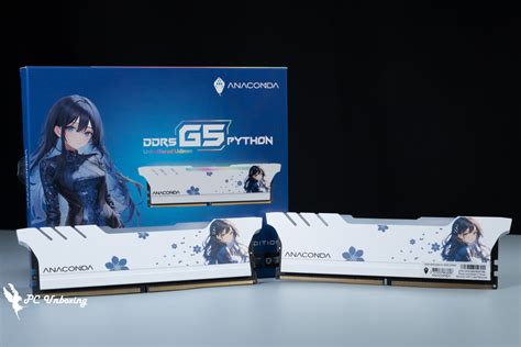 電競油條 ANACOMDA G5 DDR5 RGB 6000 電競記憶體霓霓二次元開箱評測