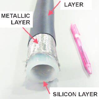 THE MODEL S LAYERS Download Scientific Diagram