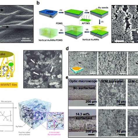 Stretchable Conductive Polymers A Chemical Structures Of Some Download Scientific Diagram