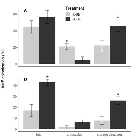 Effect Of Inoculation With Darksidea Sp On Arbuscular Mycorrhizal