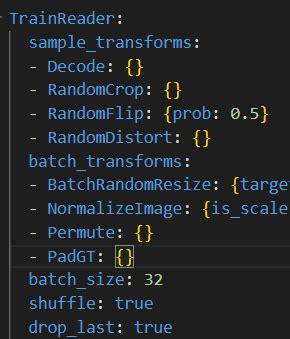 Any Configuraton Of PicoDet Model About Detecting Small Objects Issue PaddlePaddle
