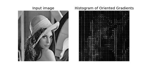 Histogram Of Oriented Gradients — Skimage V010dev Docs