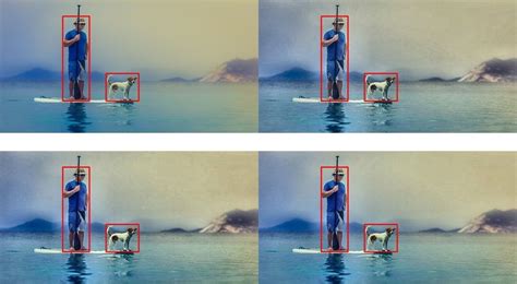 Bounding Boxes Augmentations Using Albumentations