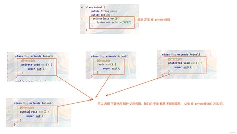 多态 Polymorphism Csdn博客