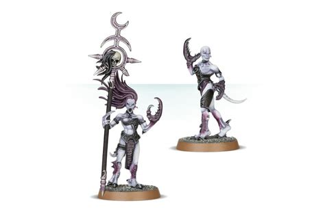 Warhammer Age Of Sigmar Daemons Of Slaanesh Daemonettes Of Slaanesh