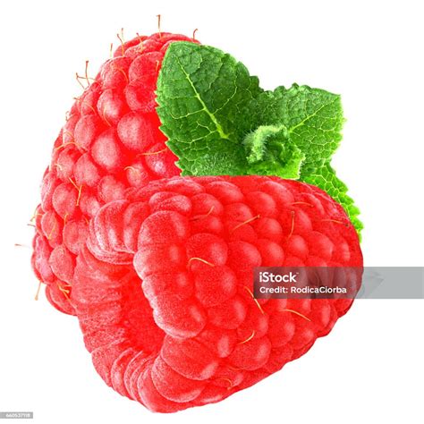 클리핑 경로와 흰색 배경에 고립 된 그린 민트와 두 잘 익은 라스베리 0명에 대한 스톡 사진 및 기타 이미지 0명 건강한 식생활 날것 Istock