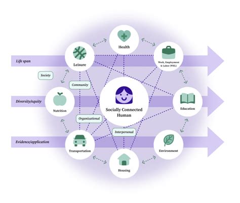 Social Framework Foundation For Social Connection