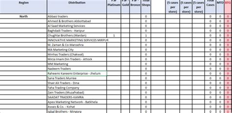 do microsoft excel files by sarannawaz fiverr